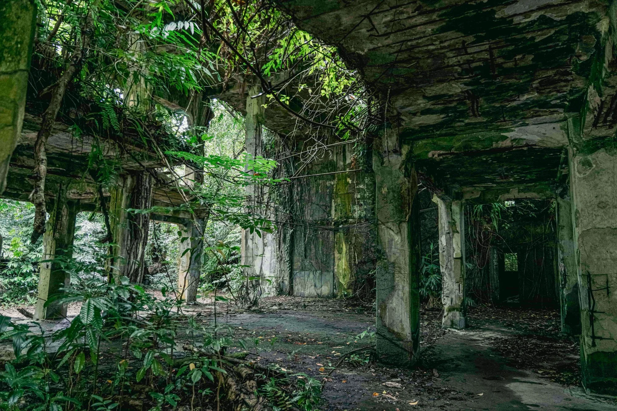 Palau — Pearl Fleet Liveaboards