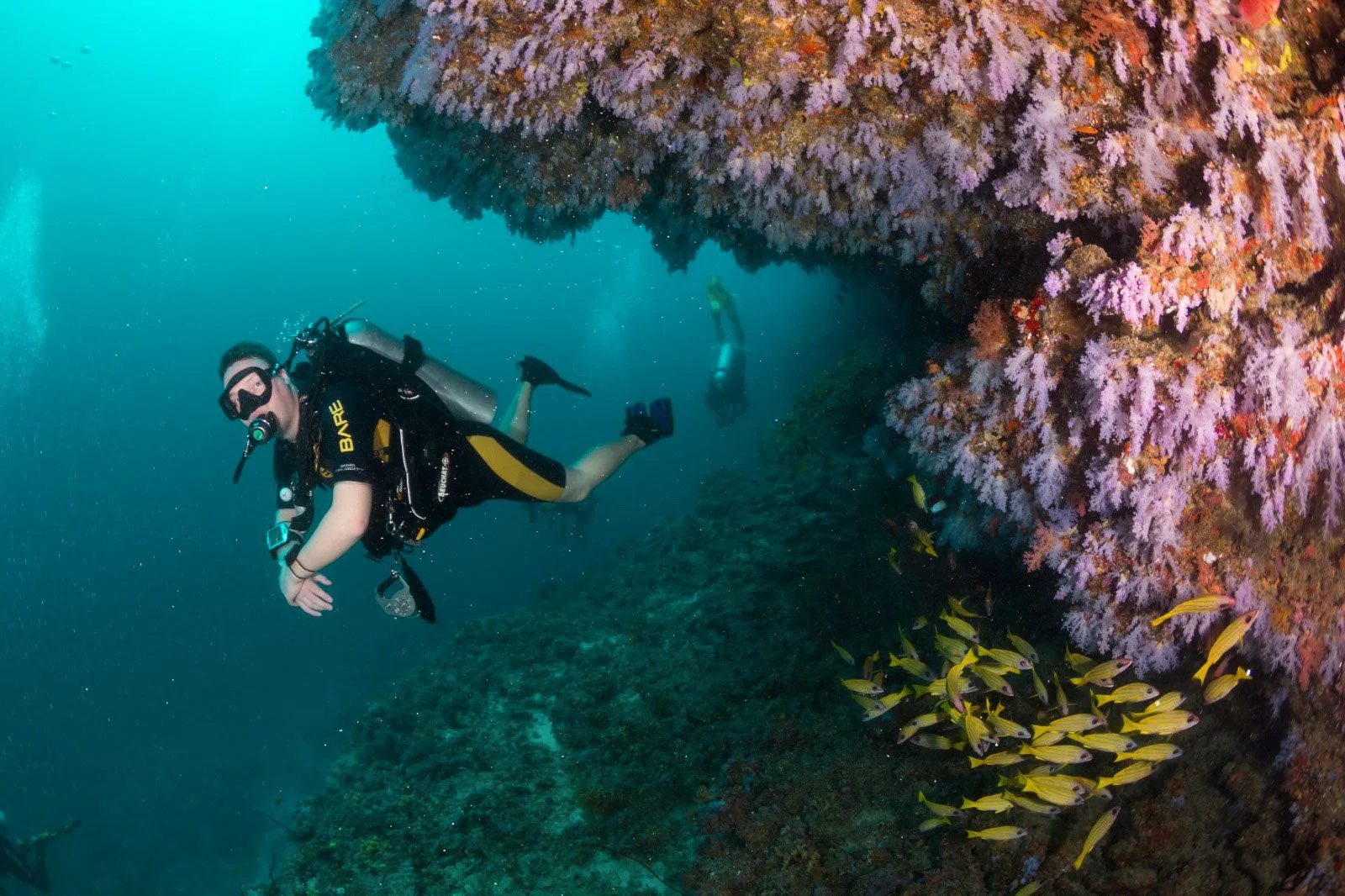 South & Central Atolls — Pearl Fleet Liveaboards