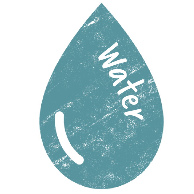 Clean Label — Guttenplan's Frozen Dough