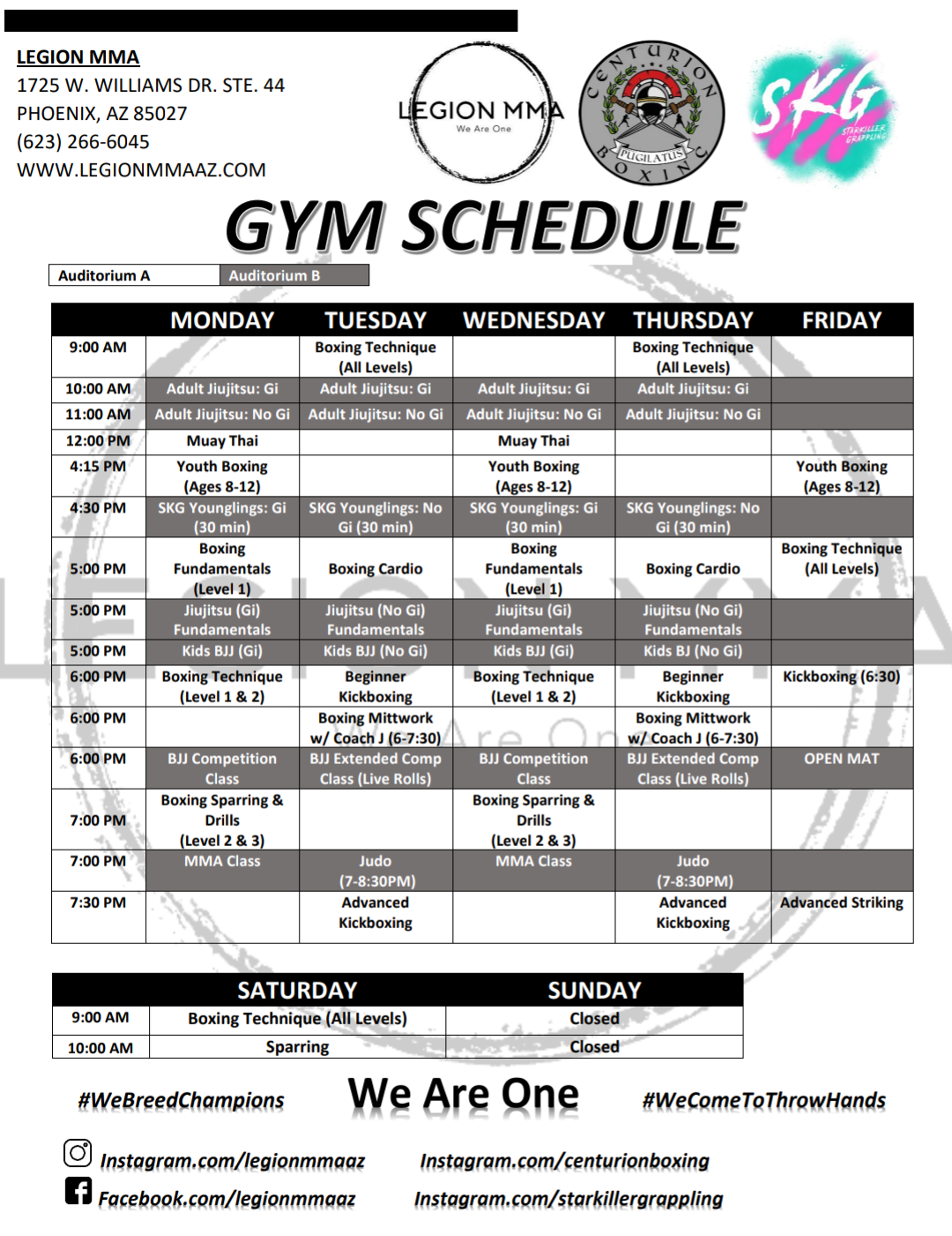 Classes & Schedule — Legion MMA