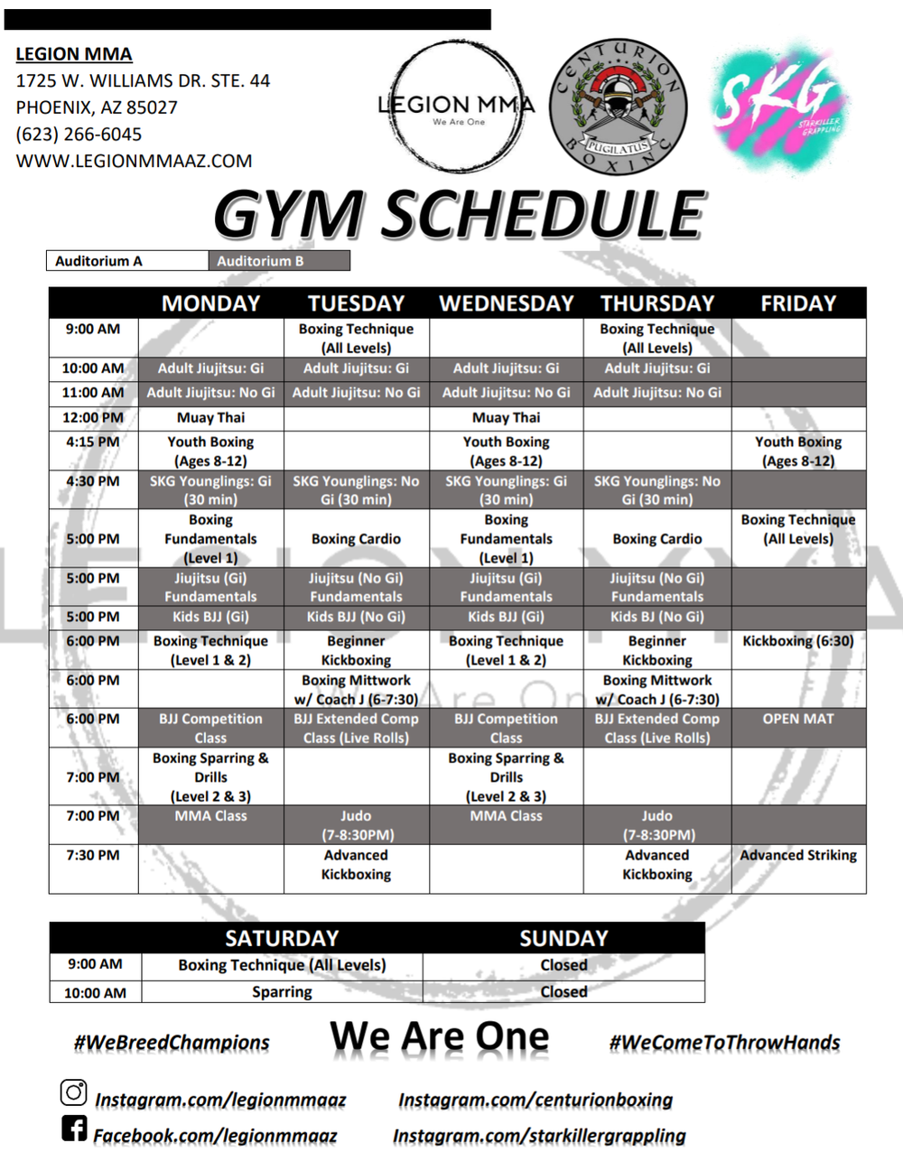 Classes & Schedule — Legion MMA