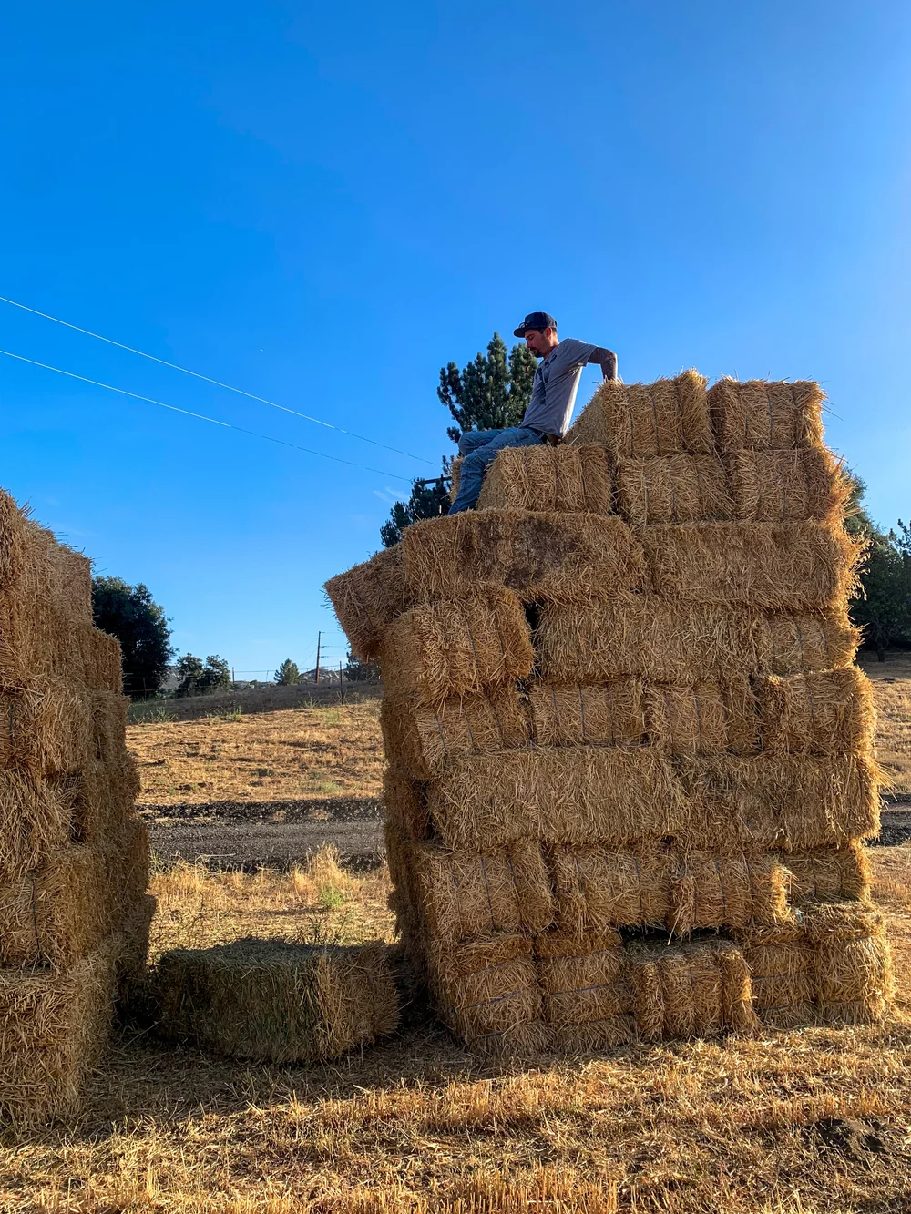About Us — meriganranch.com