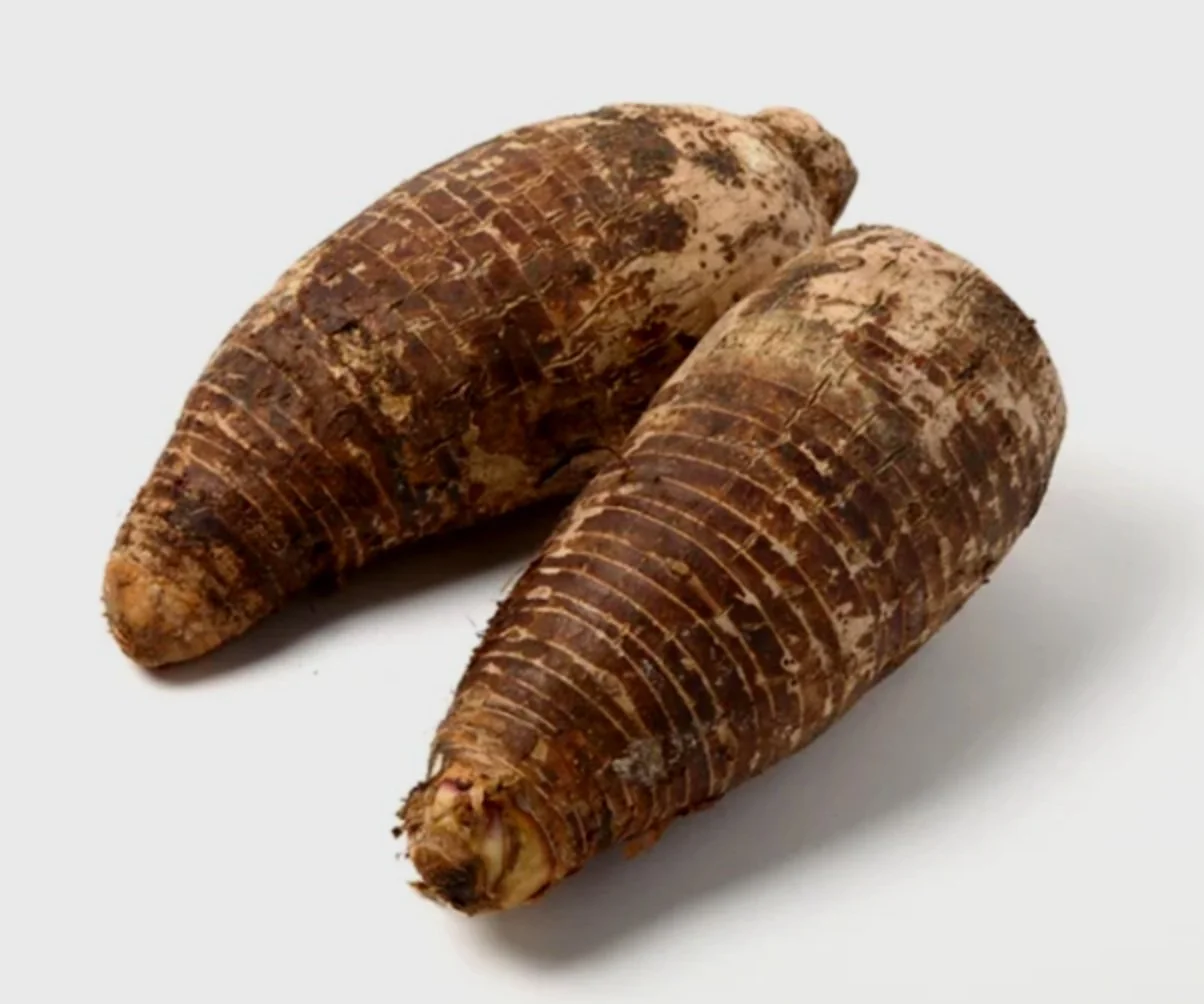 Malanga Coco SHOP WHOLESALE MALANGA COCO | Purvey'd