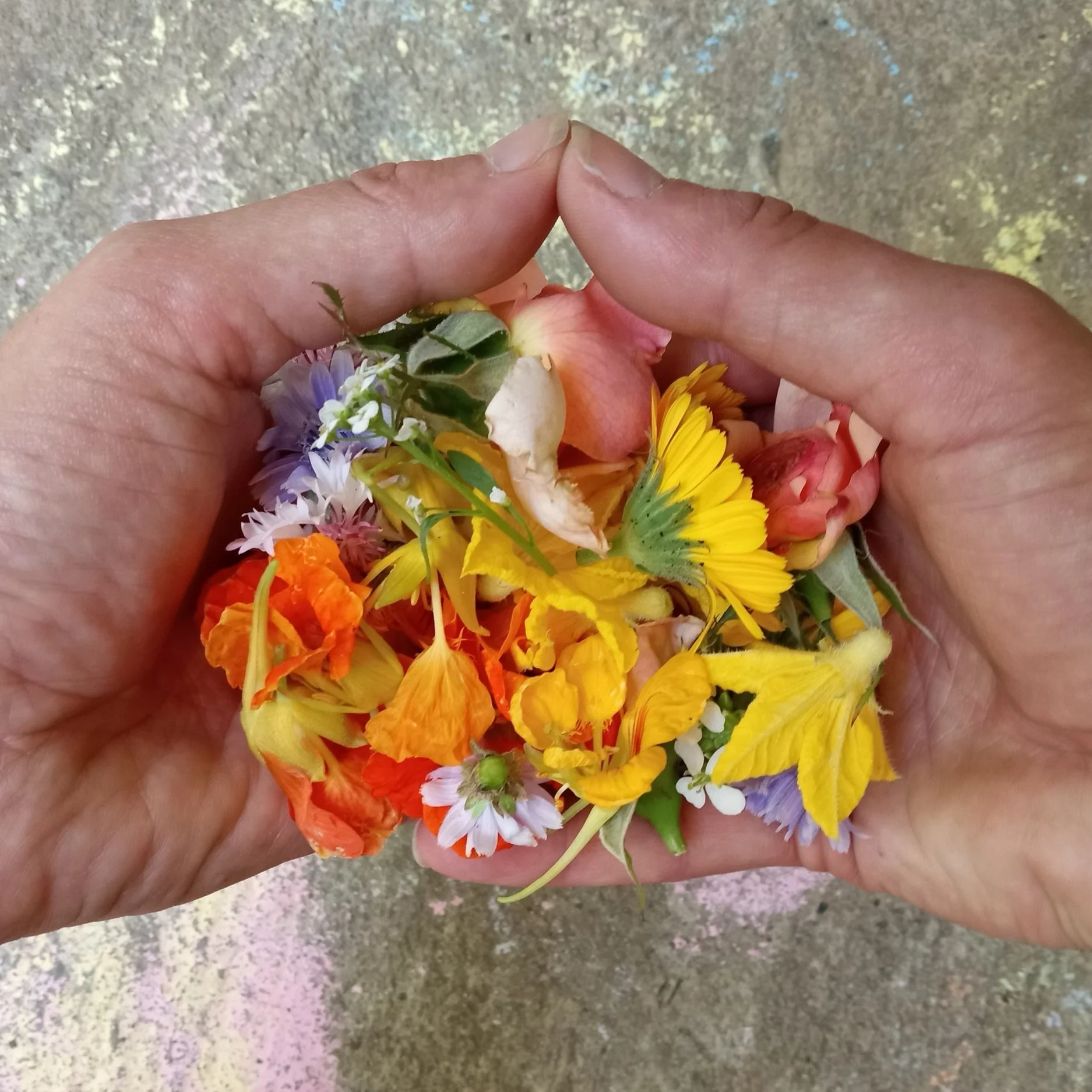 Products | Microgreens & Produce | Tinctures, Teas & Powders | Loose ...