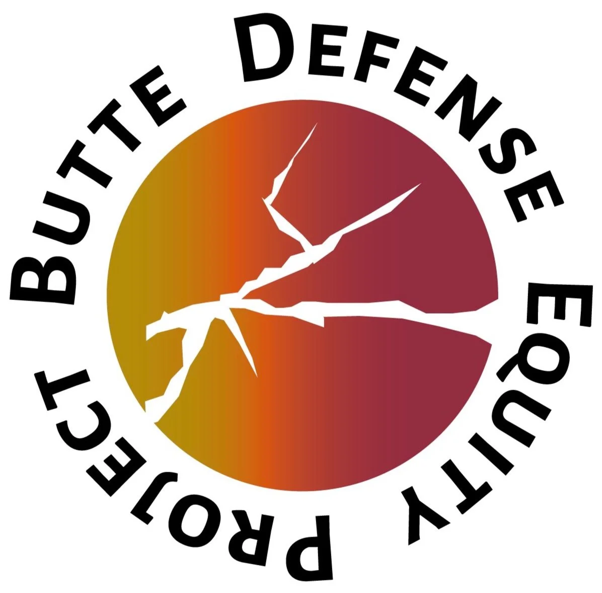 Butte Defense Equity Project