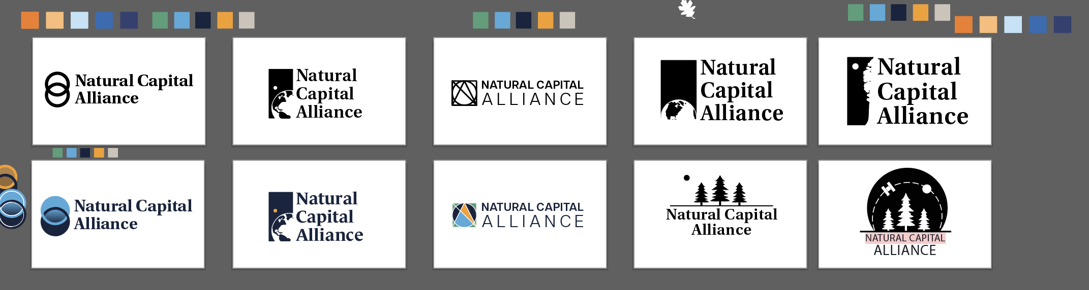Nca Brand — Emily Tiemeyer Design