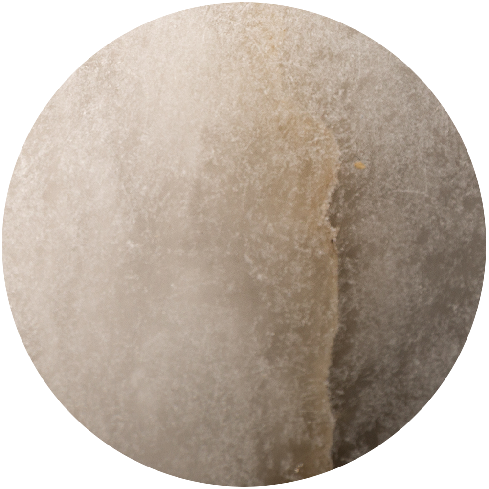 LABRA — Matthew McCormick Studio | Modern Lighting Design