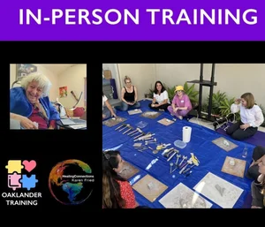 Oaklander Model Trainings — Healing Connections by Karen Fried