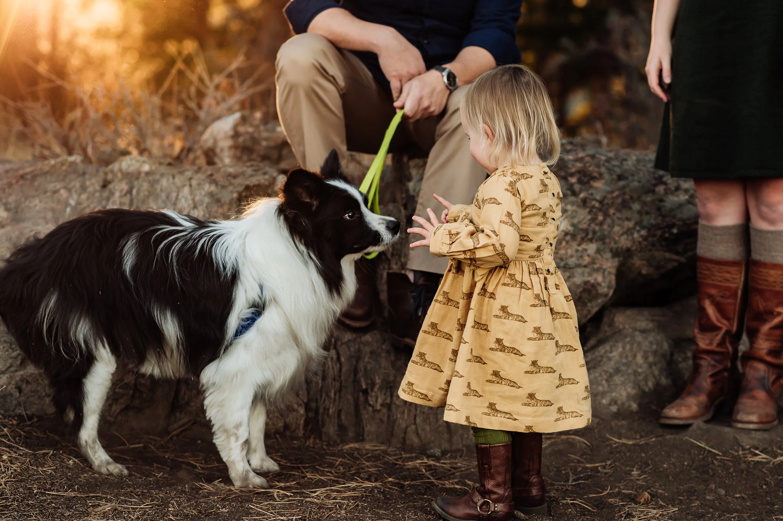 Tips for Bringing Your Dog To Your Family Photo Session — Alima Blackwell
