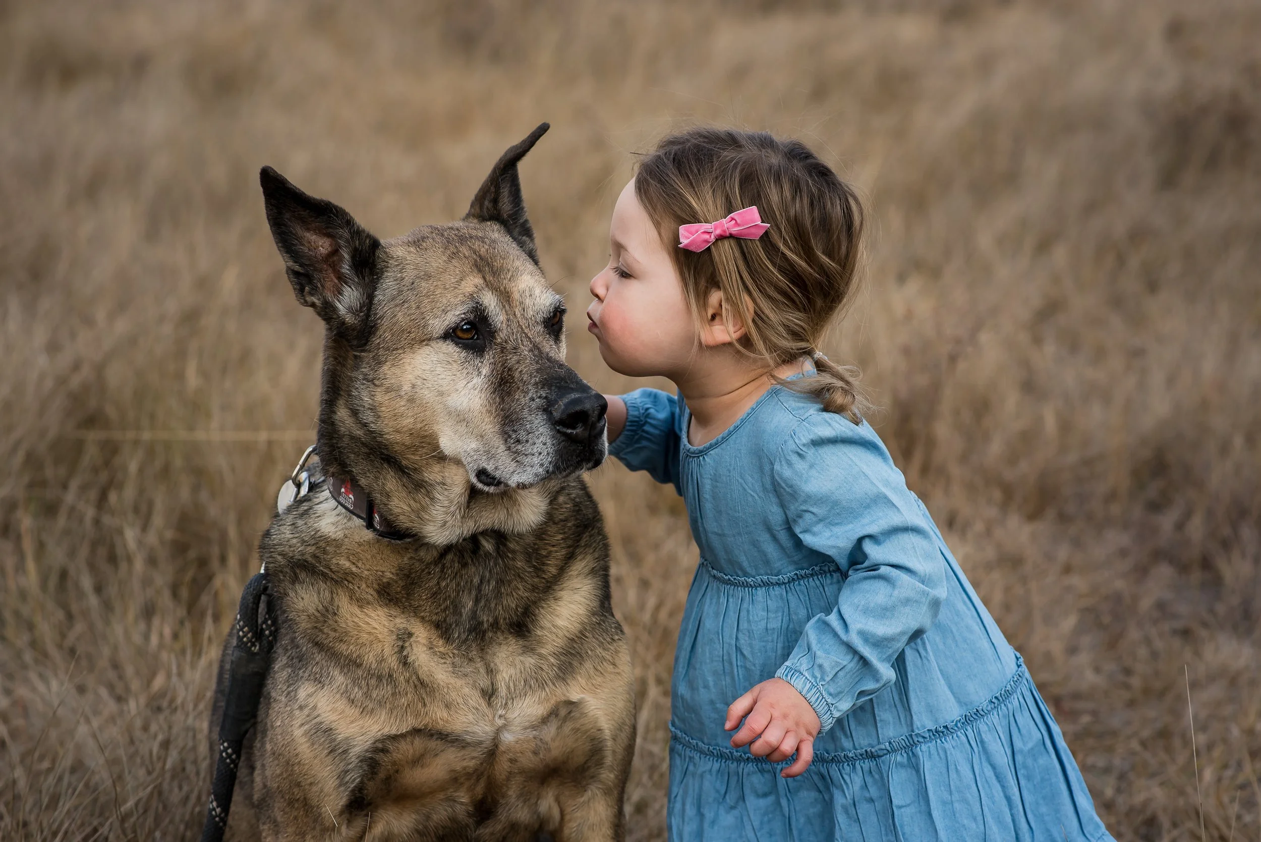 Tips for Bringing Your Dog To Your Family Photo Session — Alima Blackwell