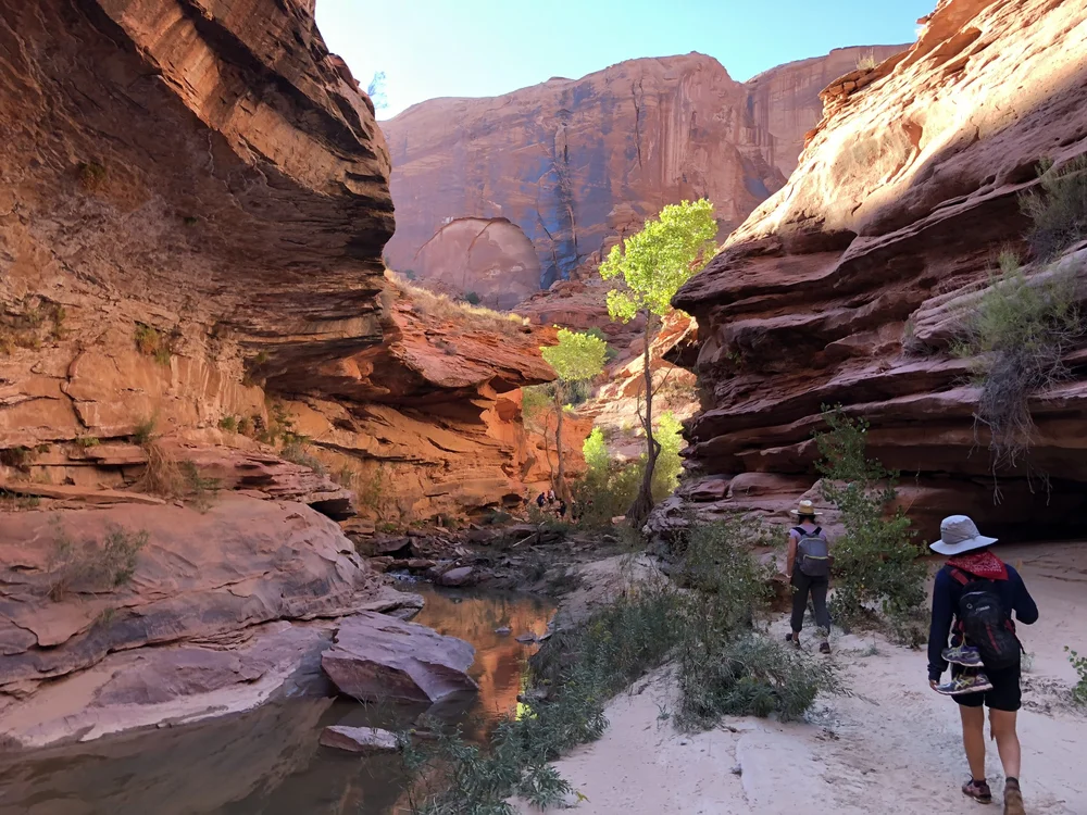 Outdoor Education Program Locations — Positive Adventures