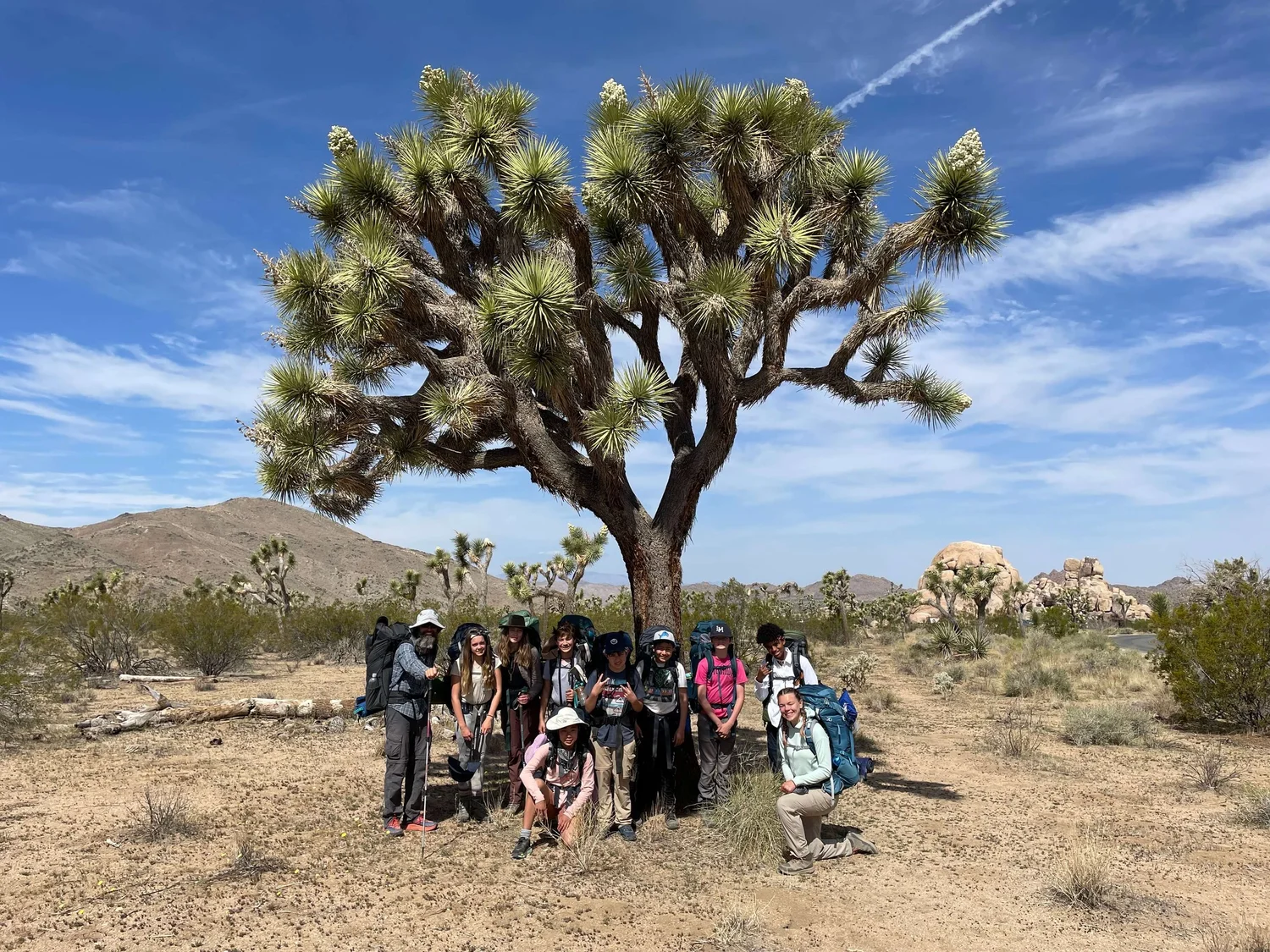 Learn about the Outdoor Education programs we offer — Positive Adventures