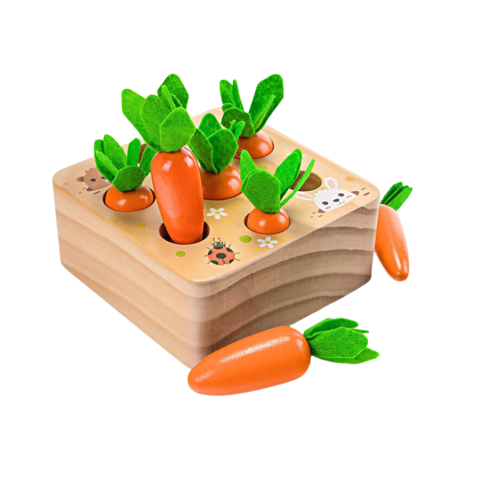 Carrot Shape Sorting Toy — Everyday Best Buy