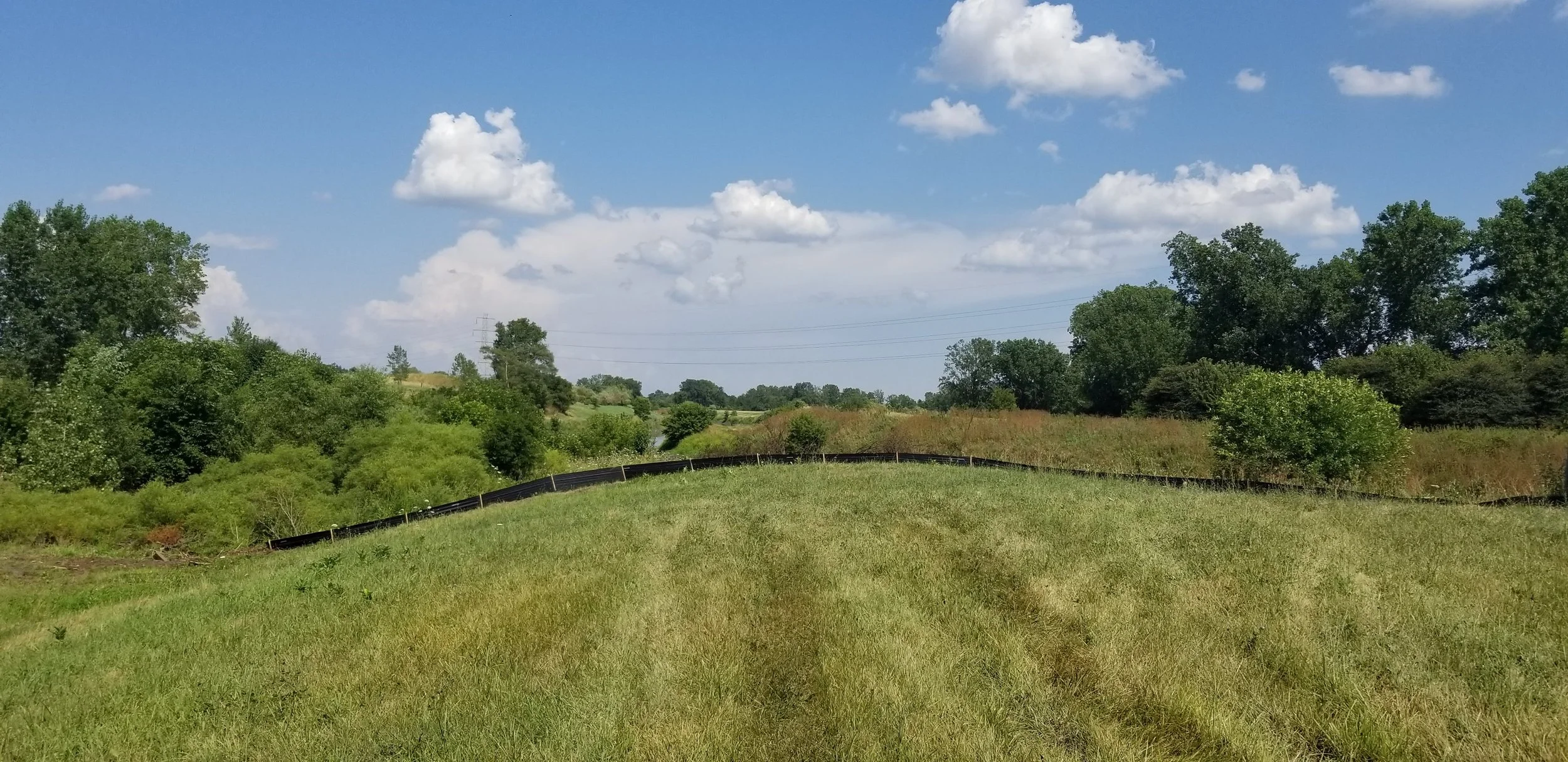 Sterling Relief — Clinton River Watershed Council