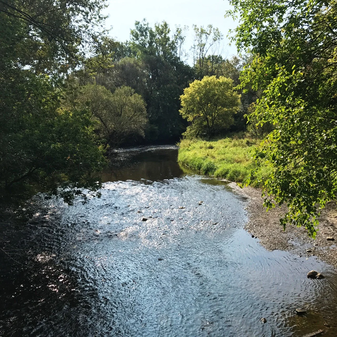 Keeping Freshwater Resources Healthy — Clinton River Watershed Council