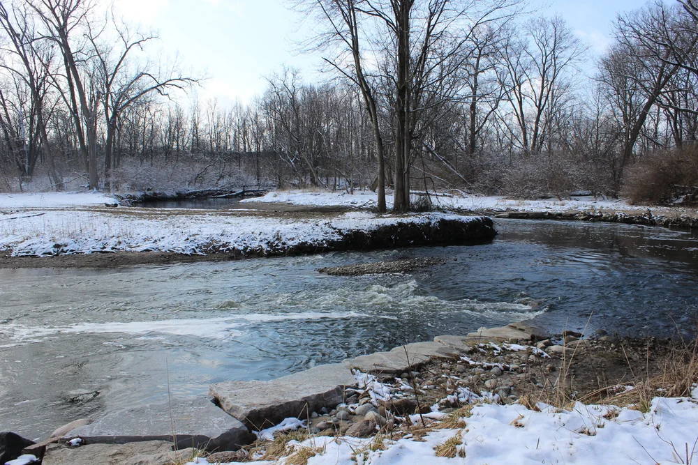 Environmental Expertise — Clinton River Watershed Council