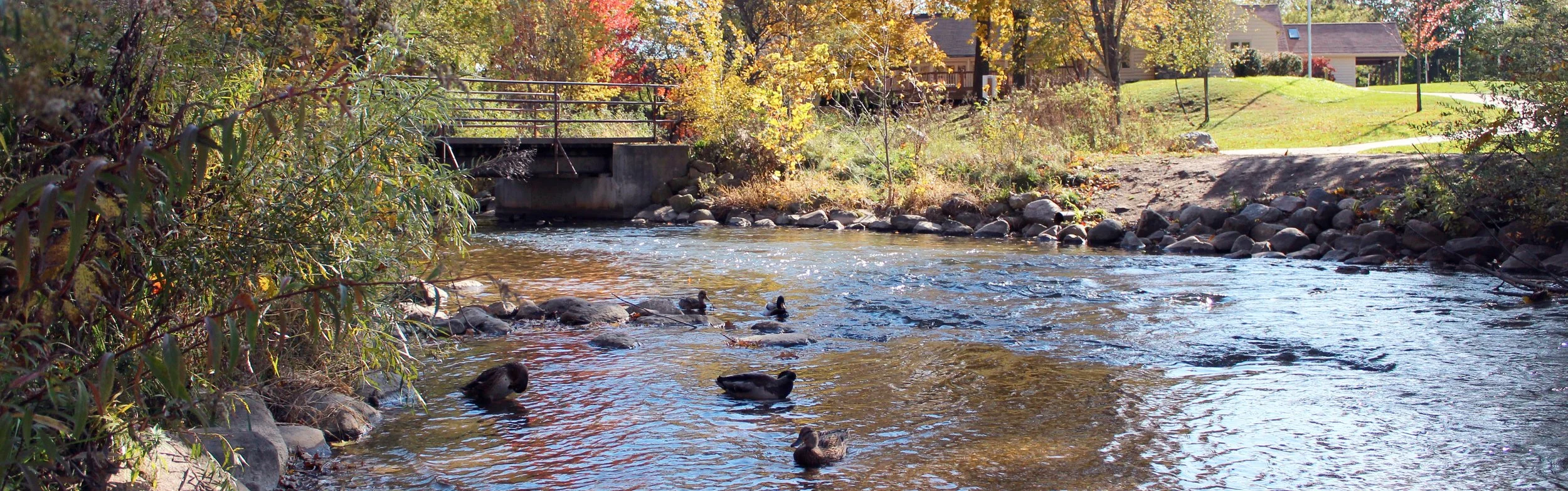 The Clinton River Watershed — Clinton River Watershed Council