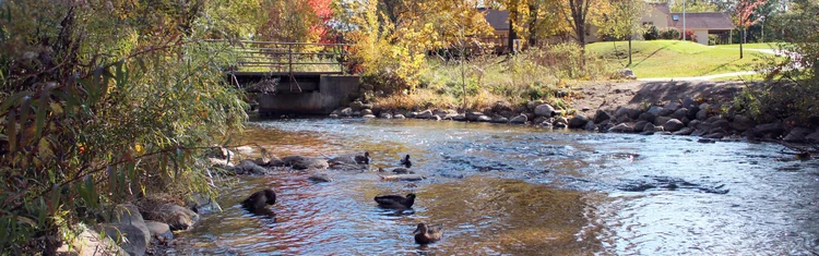 The Clinton River Watershed — Clinton River Watershed Council