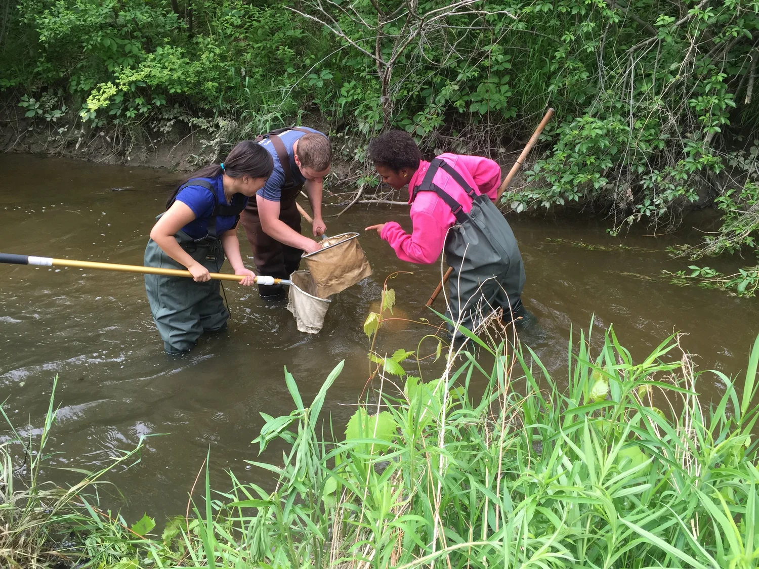 Stream Leaders — Clinton River Watershed Council