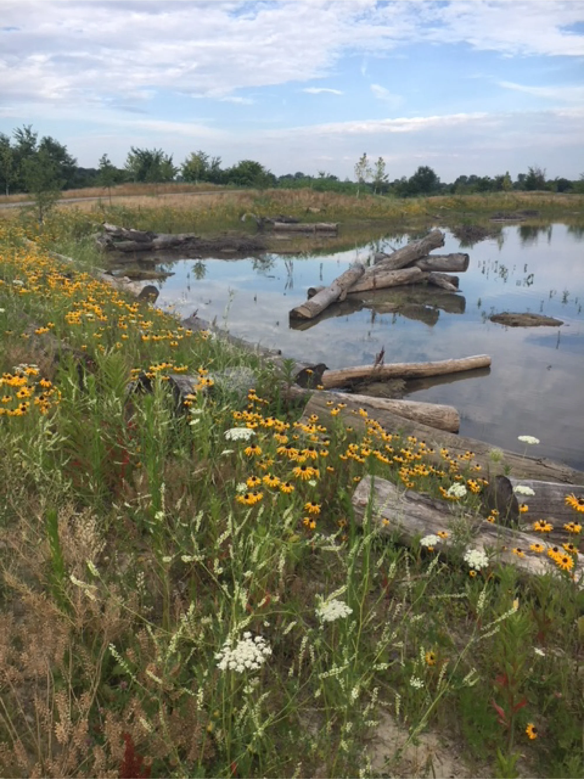 McBride Drain — Clinton River Watershed Council