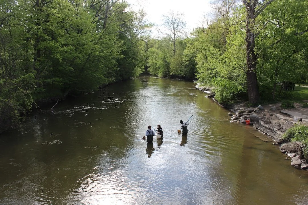 Clinton River Watershed Council