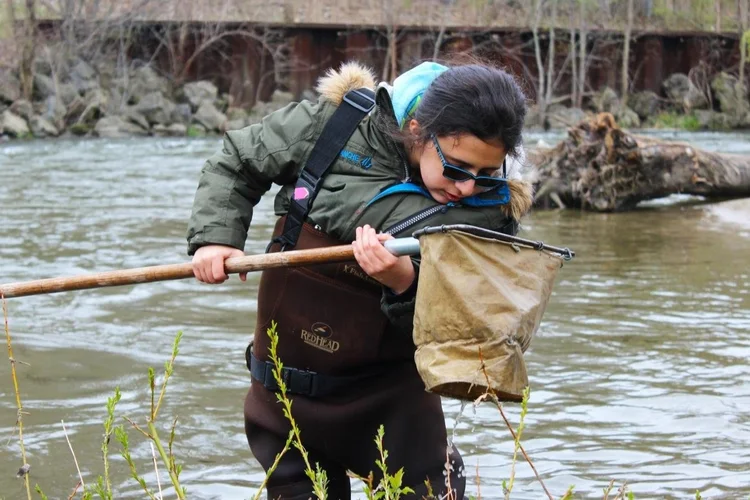Stream Leaders — Clinton River Watershed Council