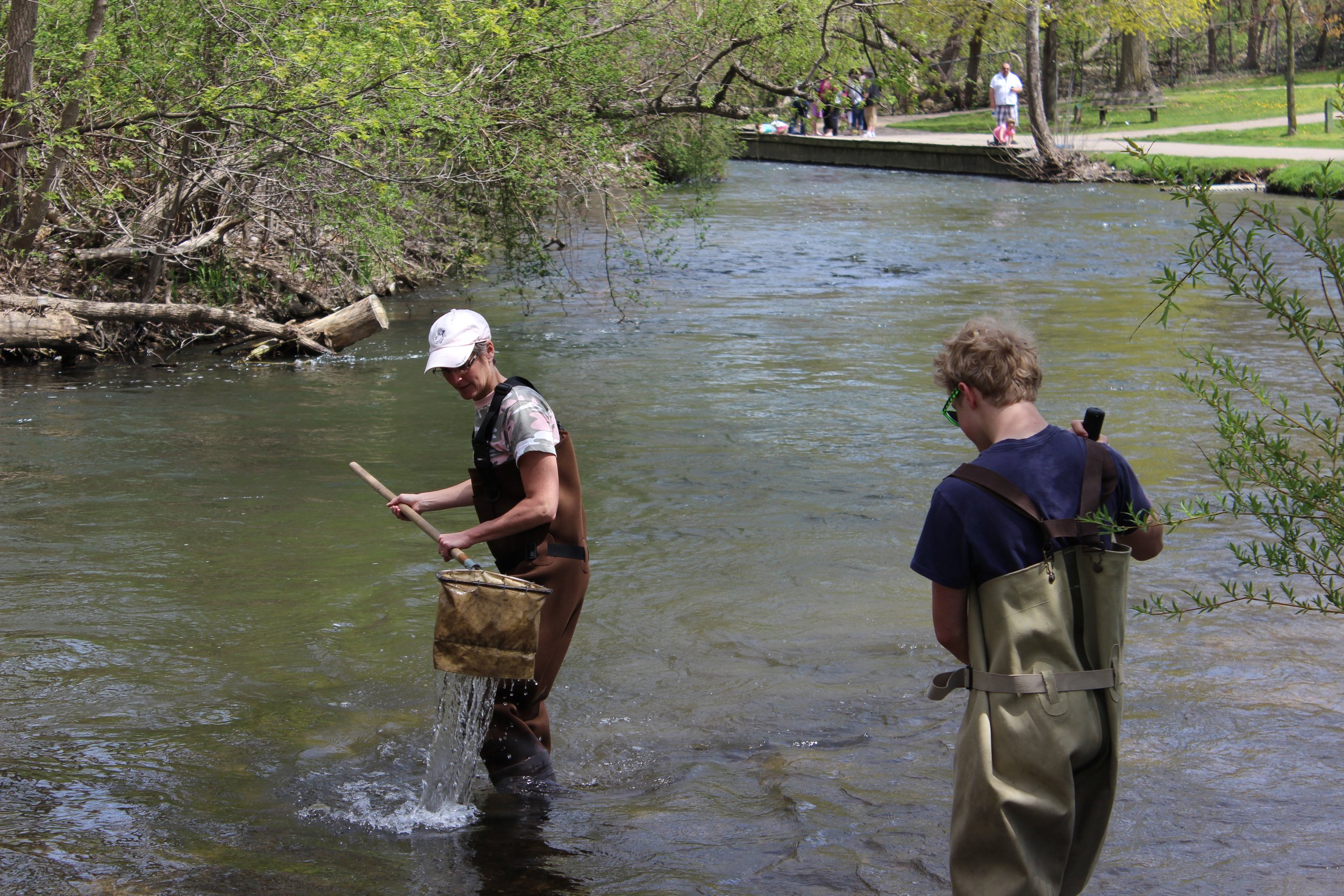 Adopt-A-Stream — Clinton River Watershed Council