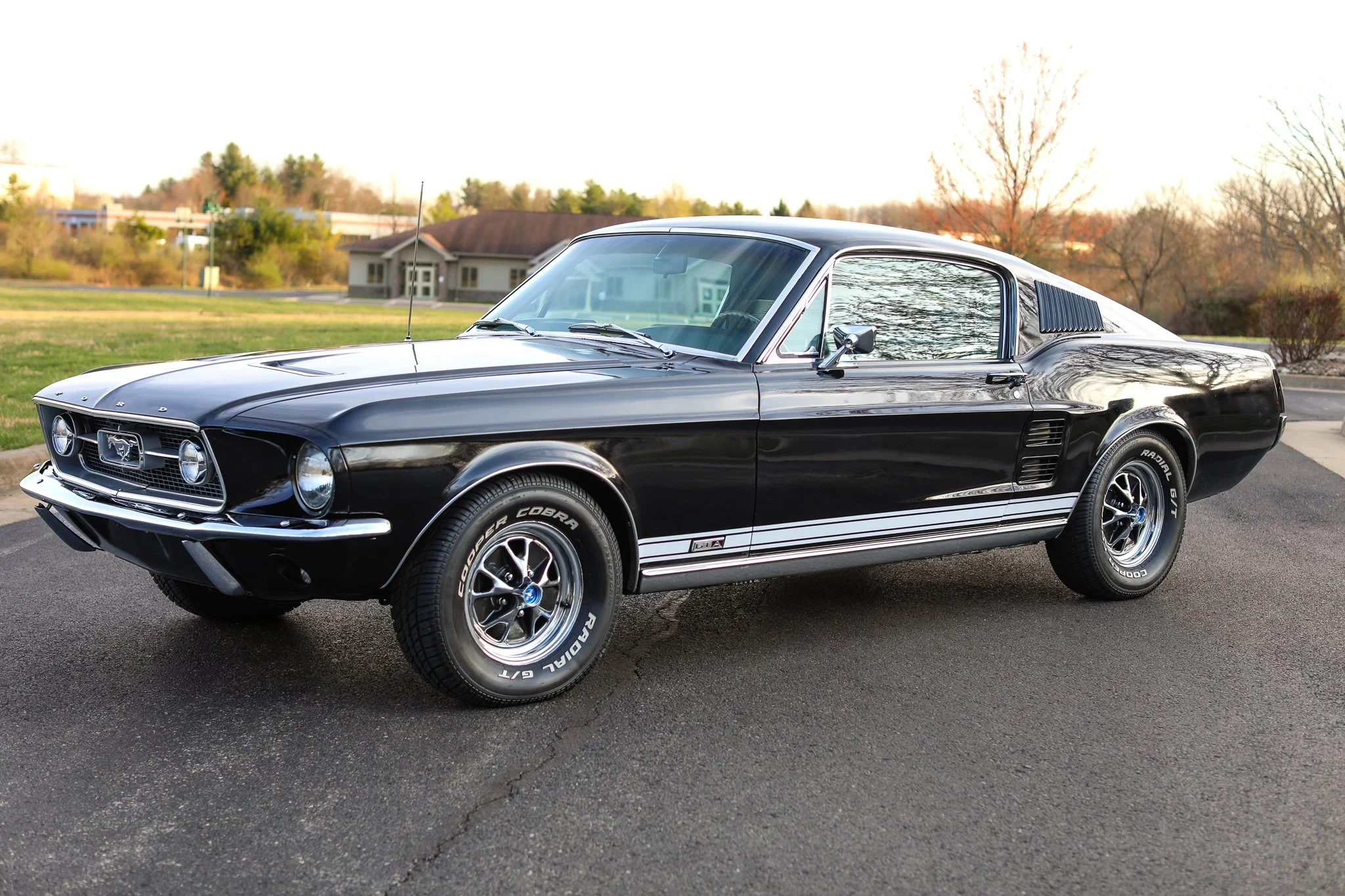 Inventory — American Mustangs, LLC. American Mustangs