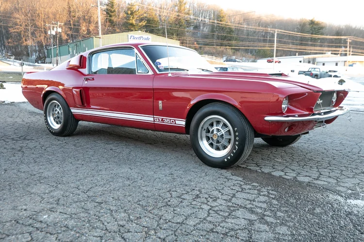 Inventory — American Mustangs, LLC. American Mustangs