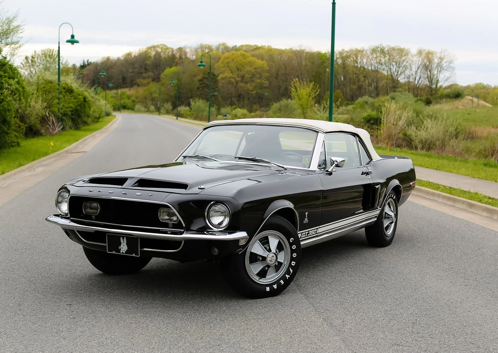 American Mustangs, LLC.