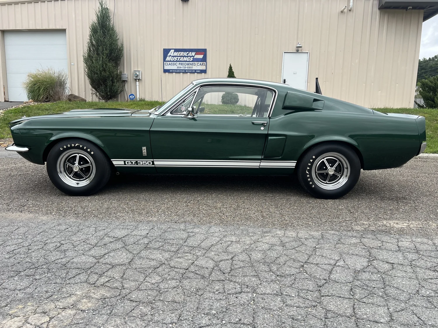 Inventory — American Mustangs, LLC.