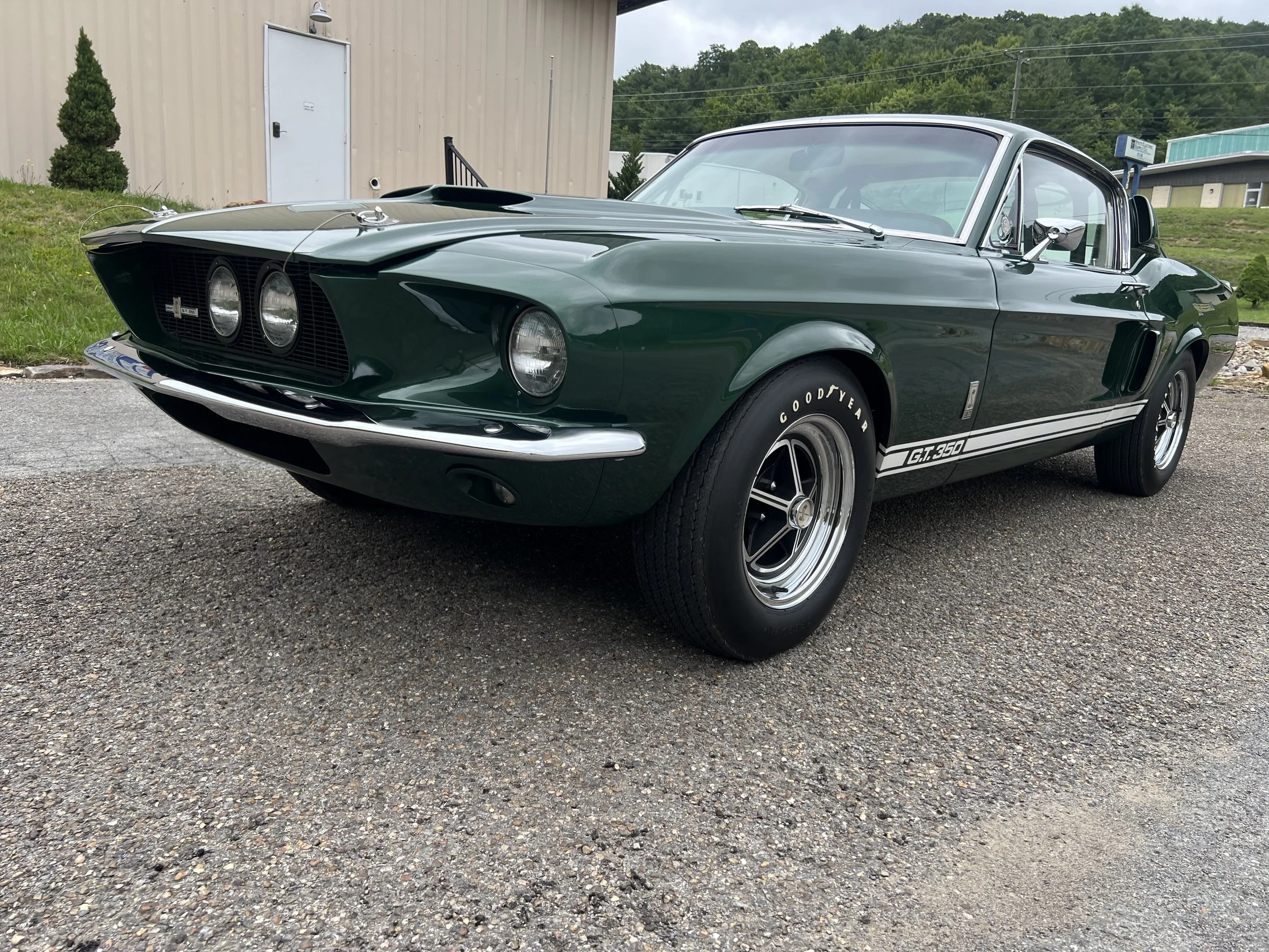 Inventory — American Mustangs, LLC.