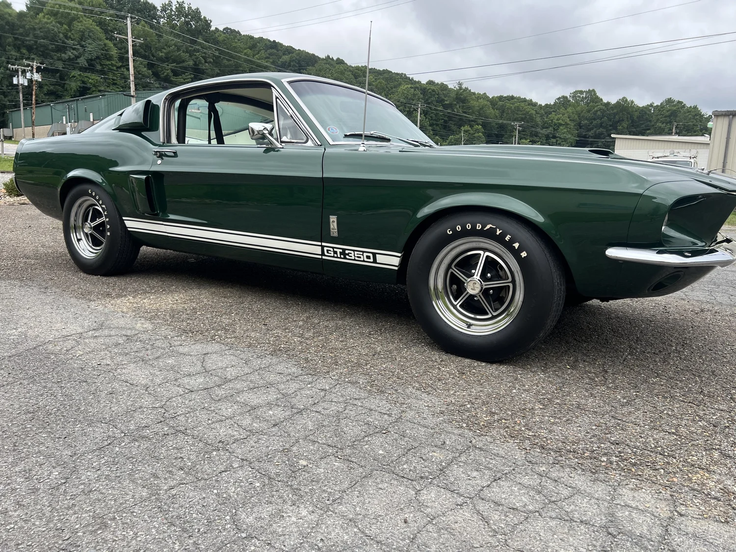 Inventory — American Mustangs, LLC.