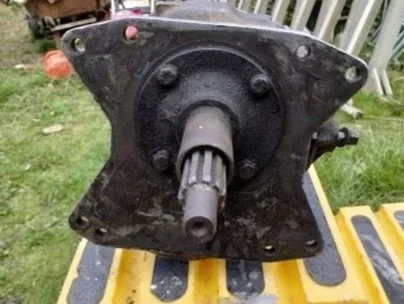 American Mustangs, LLC.