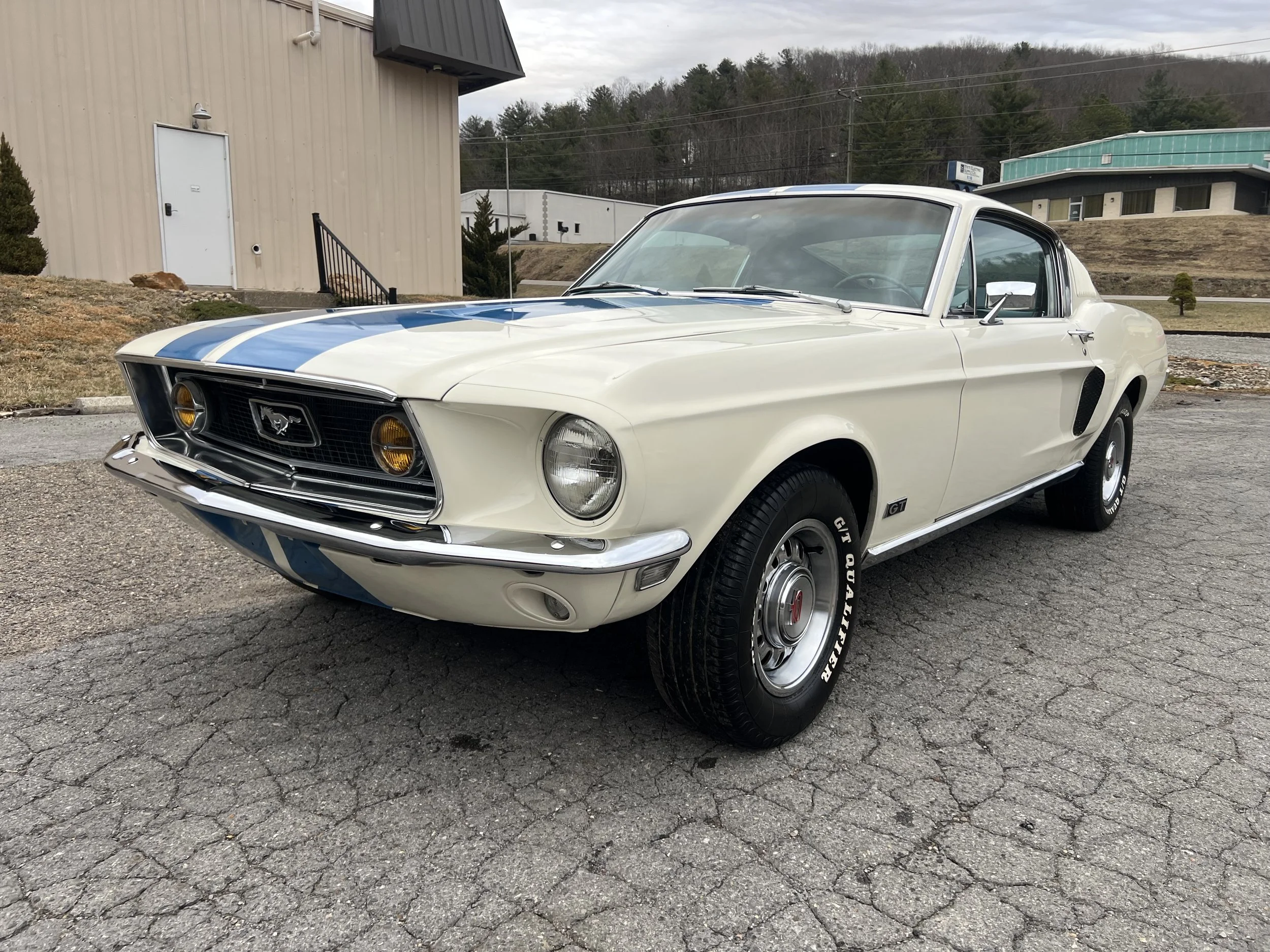Inventory — American Mustangs, LLC. American Mustangs