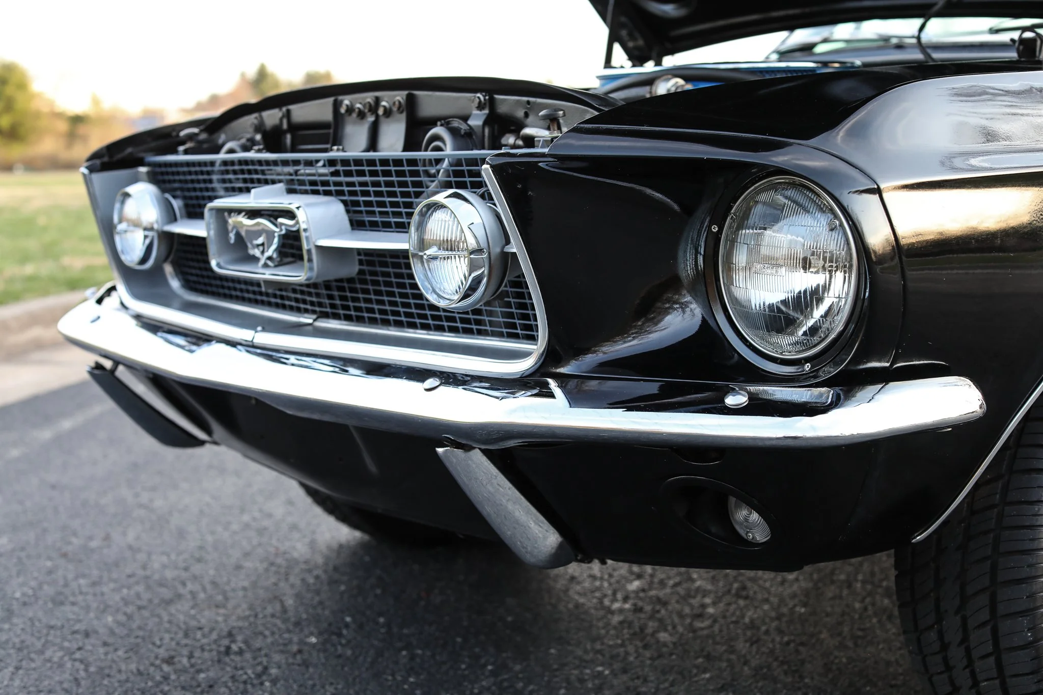 Inventory — American Mustangs, LLC. American Mustangs