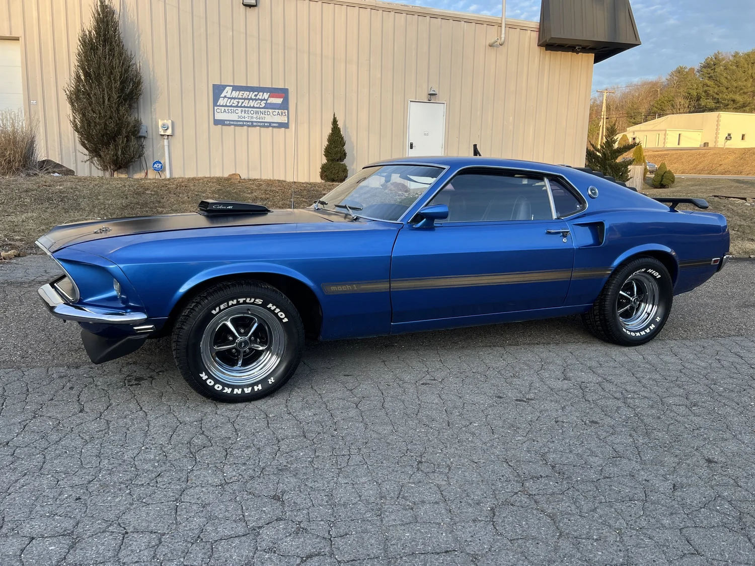 Inventory — American Mustangs, LLC. American Mustangs