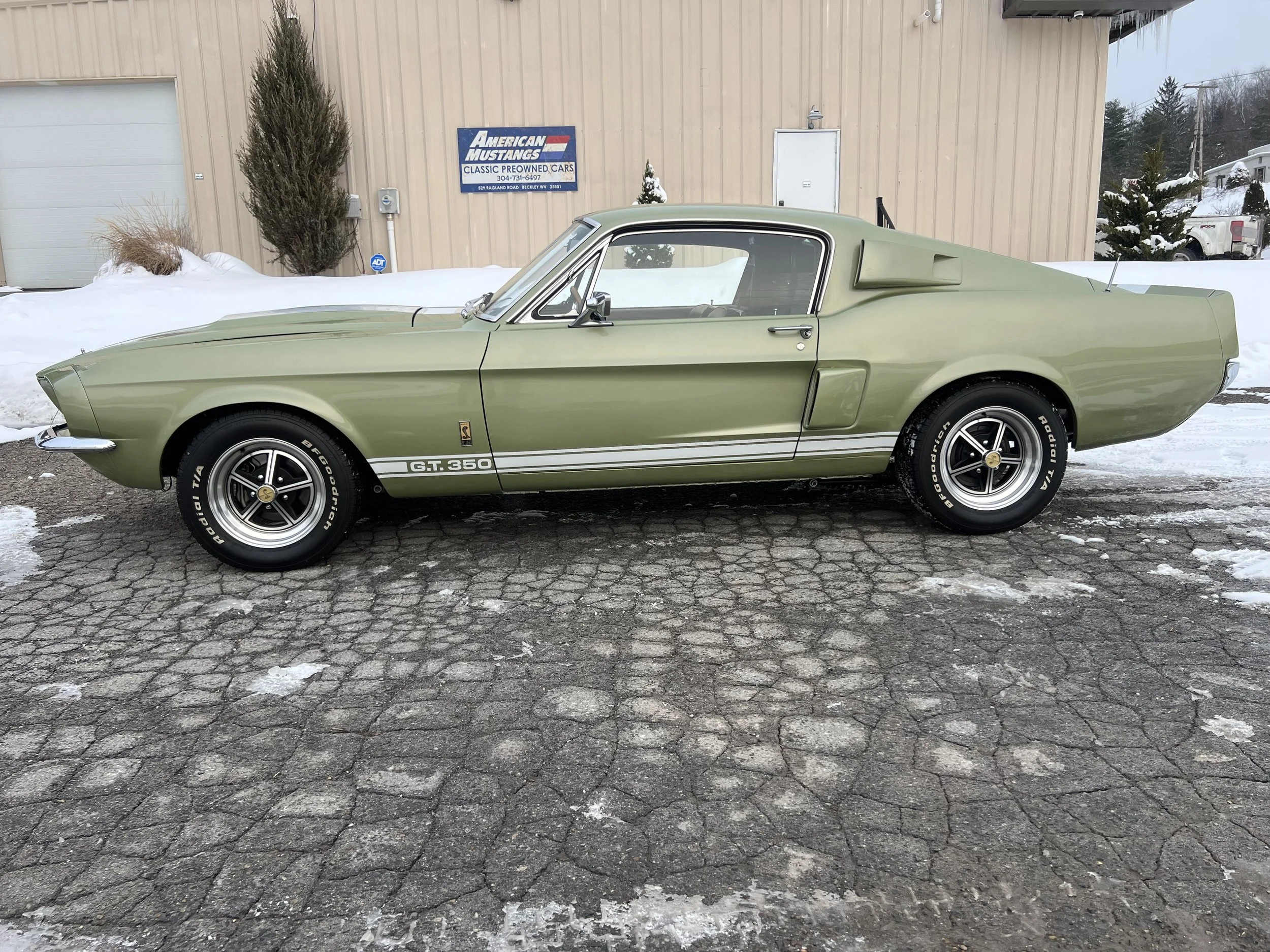 Inventory — American Mustangs, LLC.