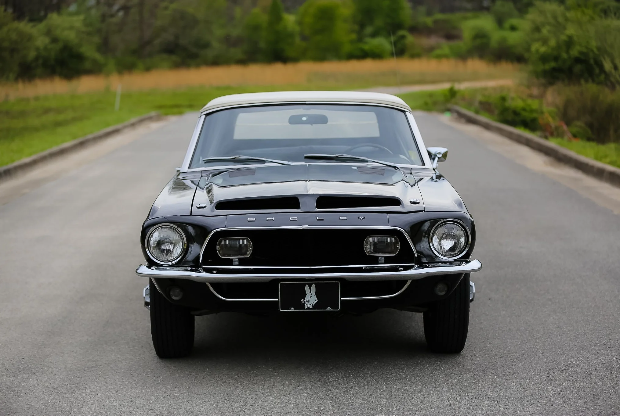 American Mustangs, LLC.