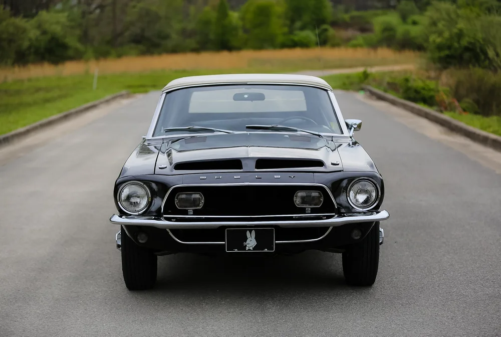 American Mustangs, LLC.