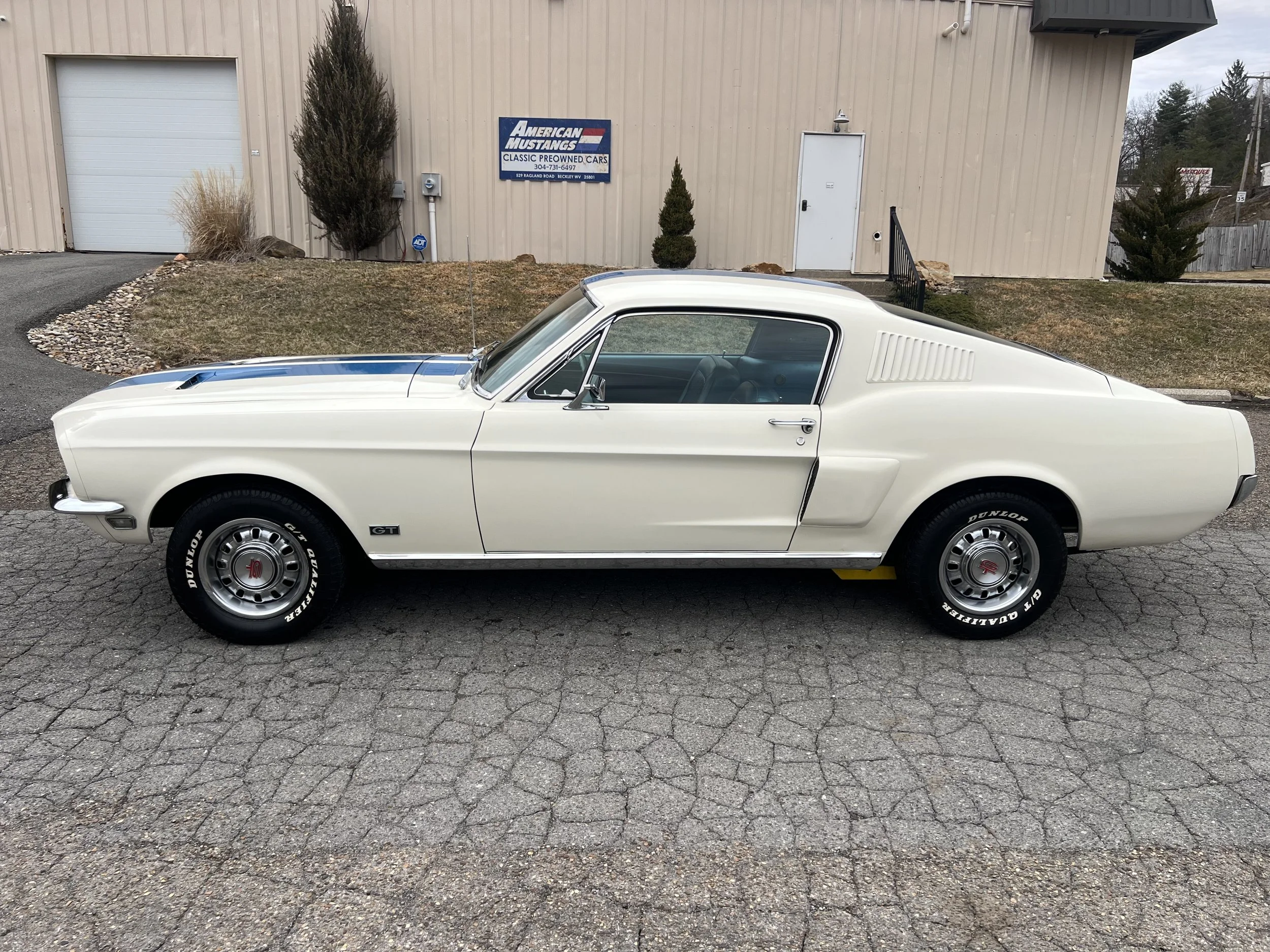 Inventory — American Mustangs, LLC. American Mustangs