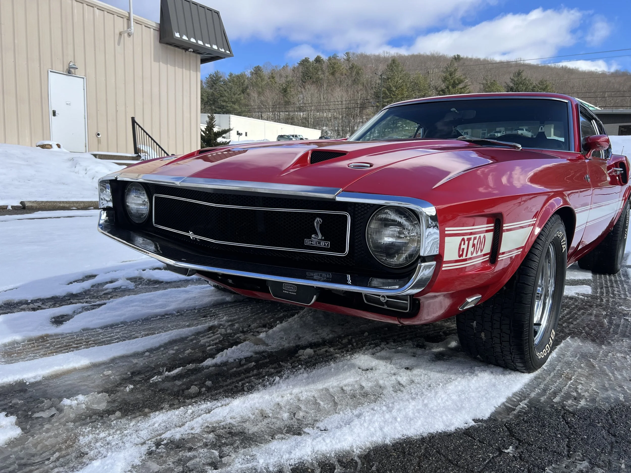 Inventory — American Mustangs, LLC. American Mustangs