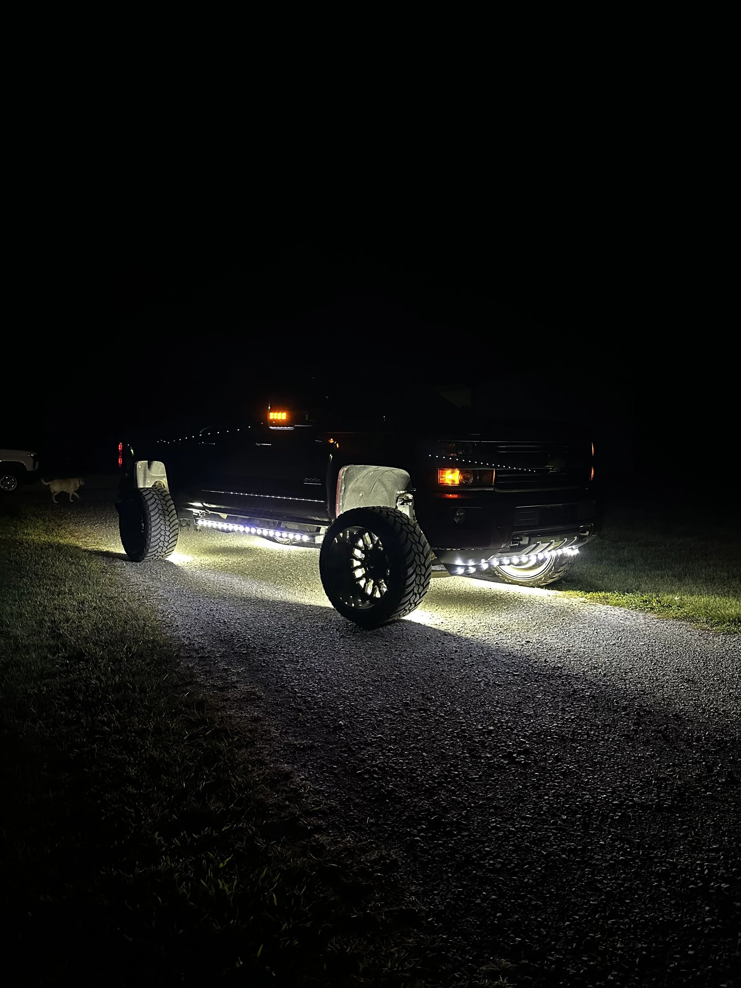 Curtis Customs