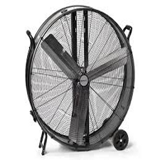 Equipment Rentals — GALVESTON RENTALS