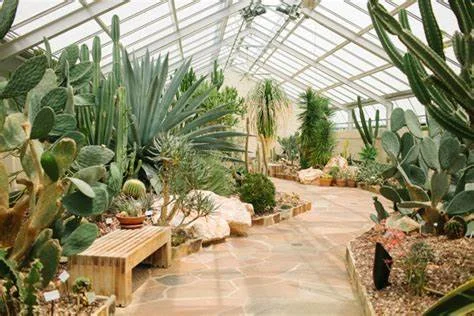 Palm House — Moschel Building Studio