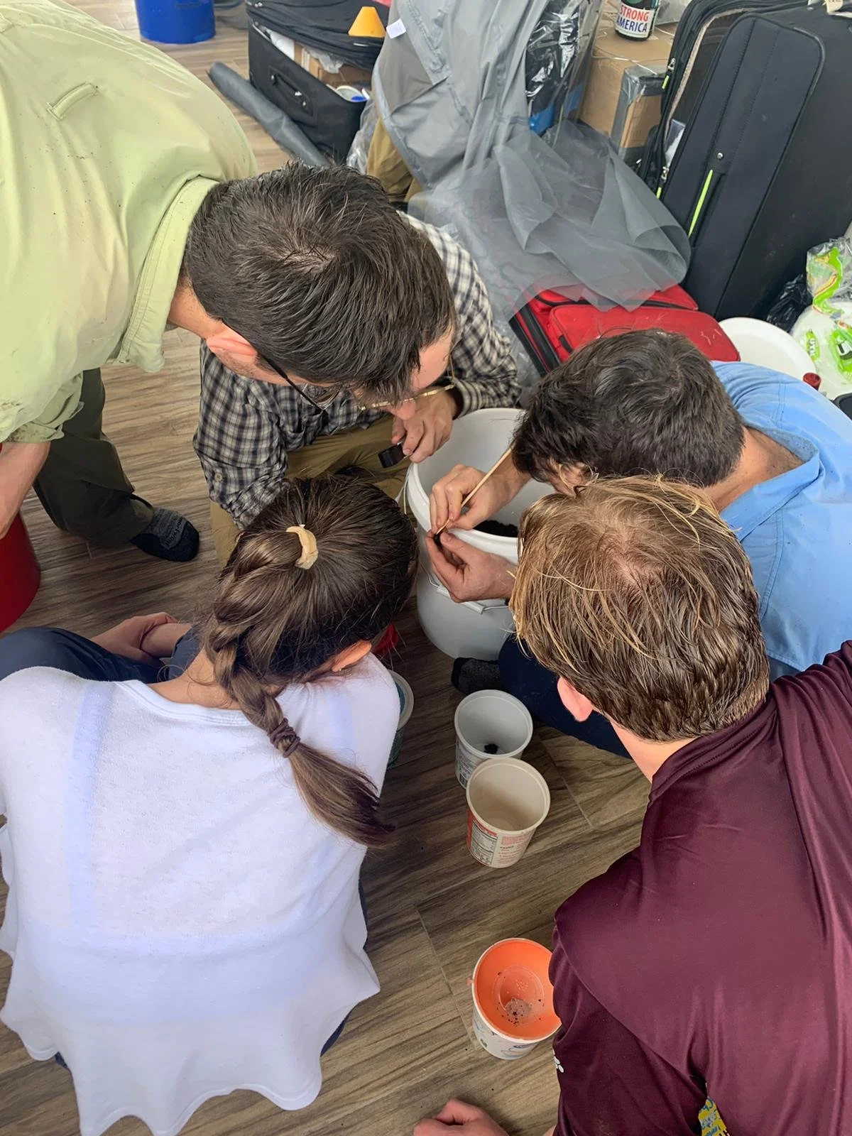 Publications — The Sheldon Lab