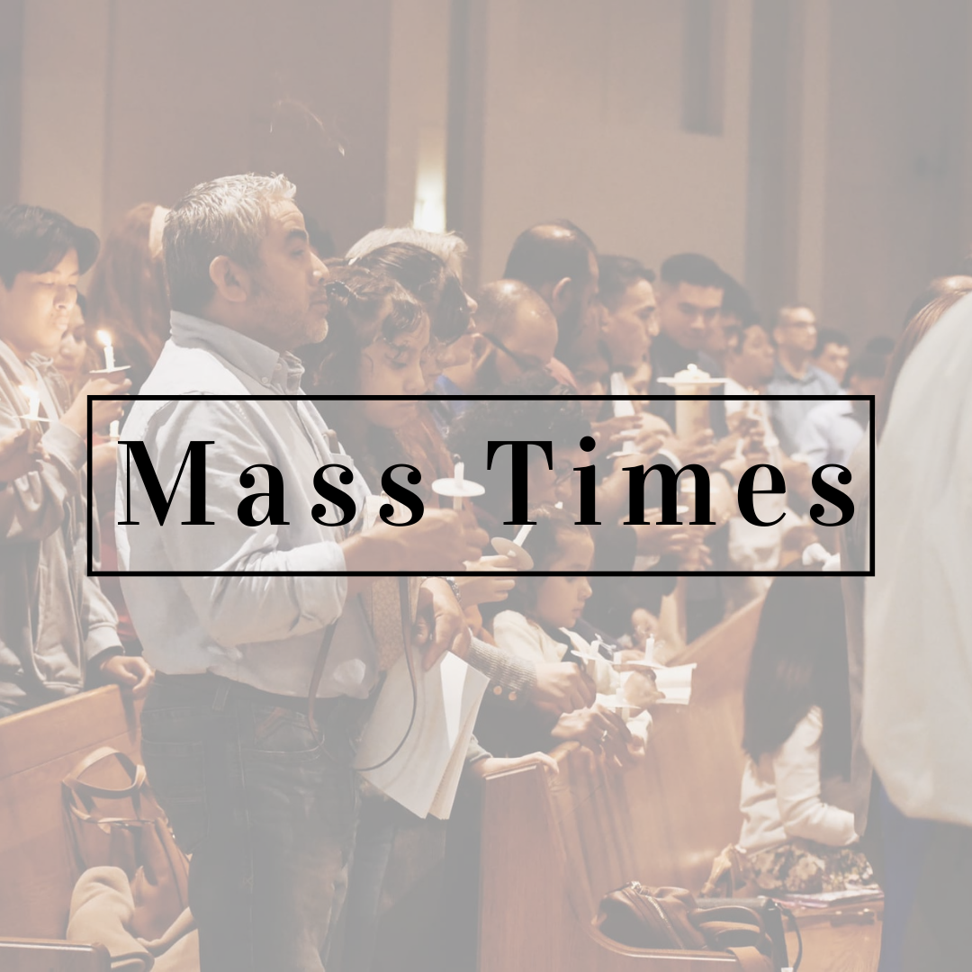 I'm New — Mary Immaculate Catholic Church