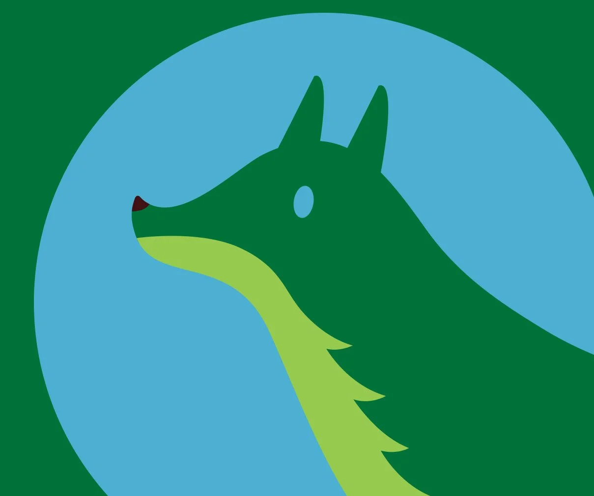 About Us — GreenFox Energy