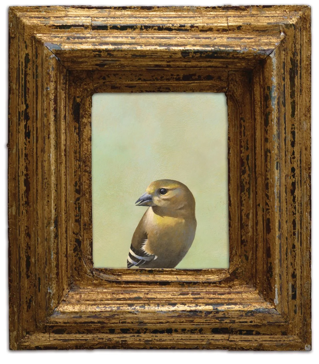 SHOP — MATT ADRIAN