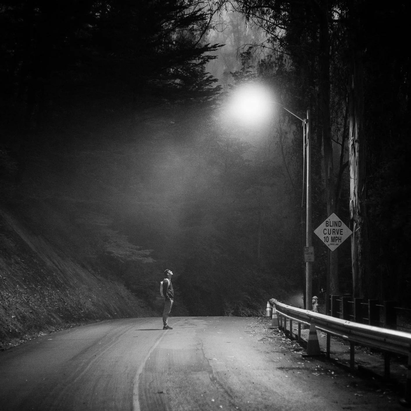 THE FOG CHASERS: SUTRO FOREST — Ian Teraoka Photography